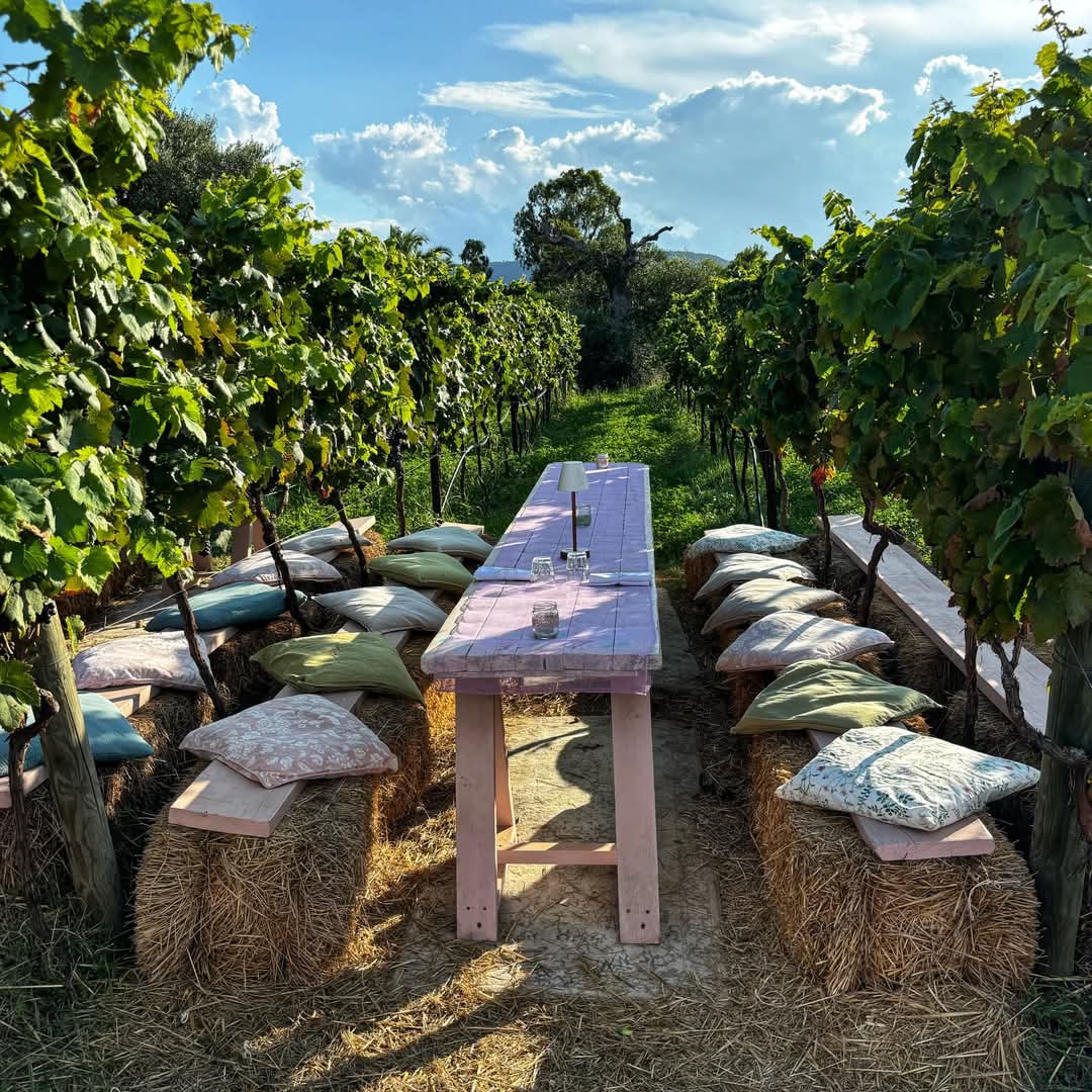 Wine tasting (including dinner) + visit to one of the following cities ...